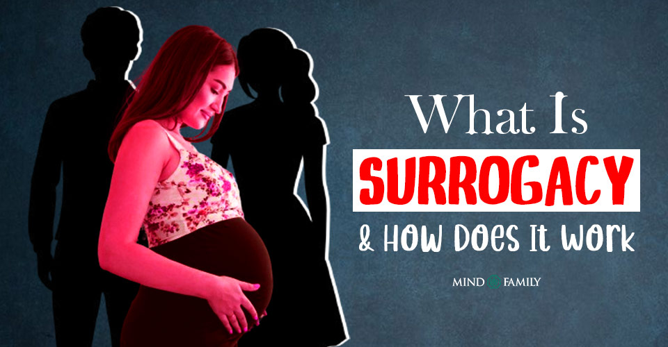 What Is Surrogacy and How Does It Work: 101 Guide For Parents