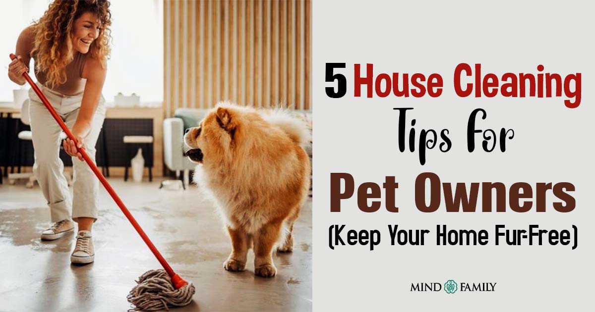 5 Helpful House Cleaning Tips For Pet Owners You Should Know