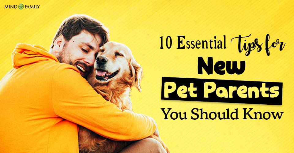 10 Helpful Tips for Pet Parents: A Step-by-Step Guide
